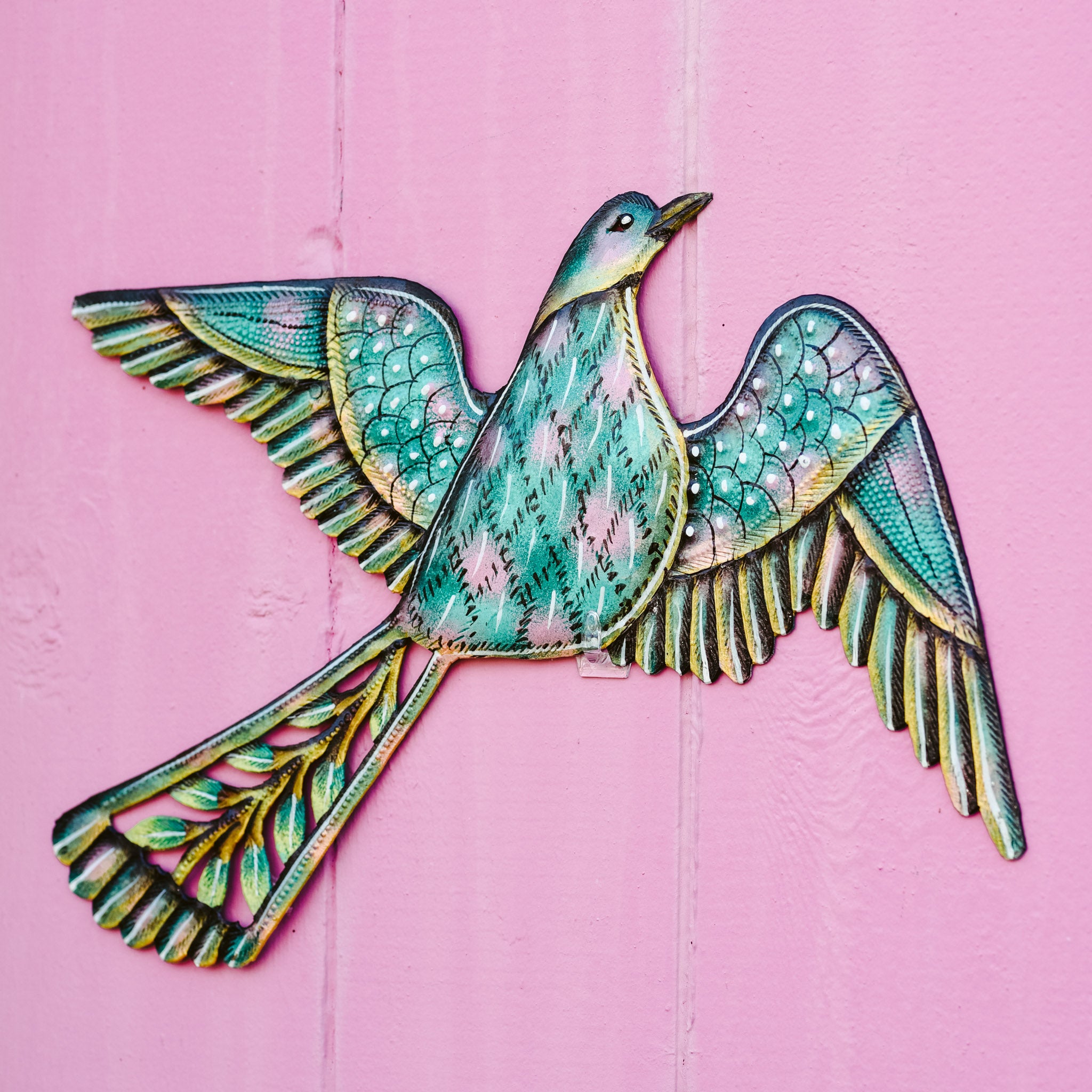 Feathered Friends – Beyond Borders Home